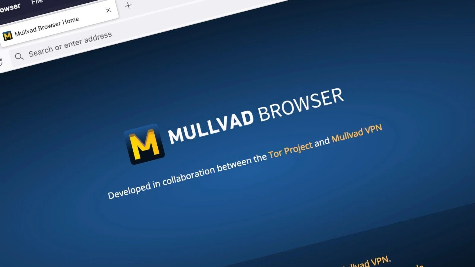 Mullvad Leta: O motor de busca privado da Mullvad